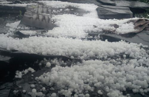 The News Himachal CM urges Centre for inclusion of hail-storm in ...